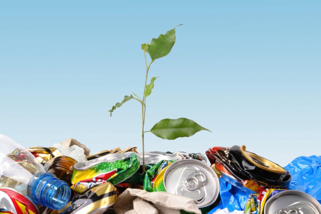 Aluminum Metal Cans: 7 Tips to Recycle the Right Way